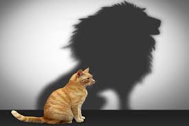 Encuentra aquí el significado correcto de la palabra Guáramo